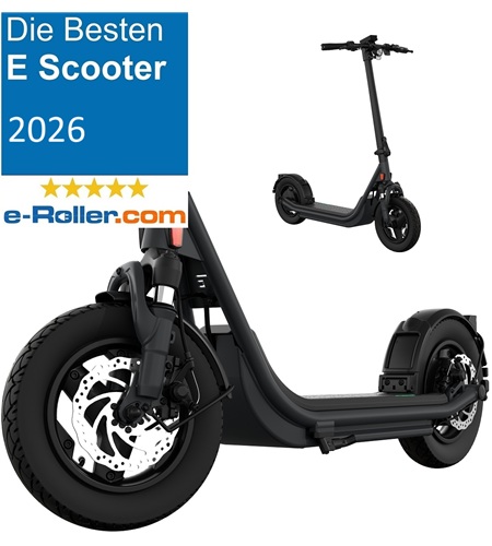 E Scooter Mit Strassenzulassung 25 Km H